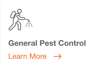 Marina Pest Control & Exterminator | Target Pest Control