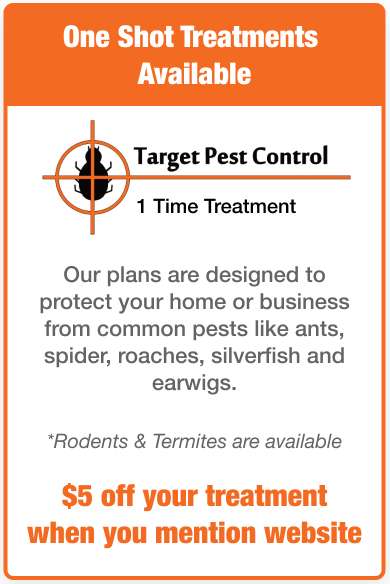 Salinas Ant Control & Exterminators | Target Pest Control